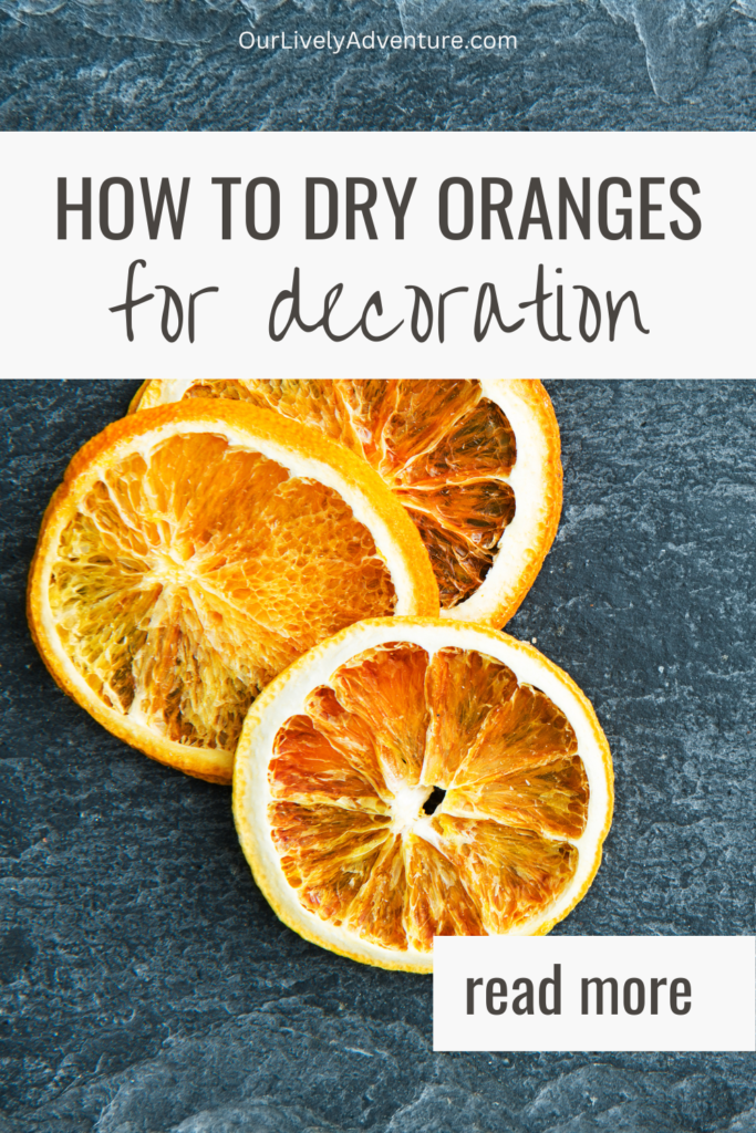 How To Dry Oranges For Decoration - Our Lively Adventures