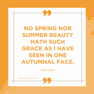 50 Beautiful Quotes About Fall - Our Lively Adventures