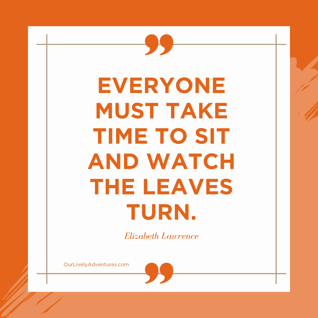 50 Beautiful Quotes About Fall - Our Lively Adventures
