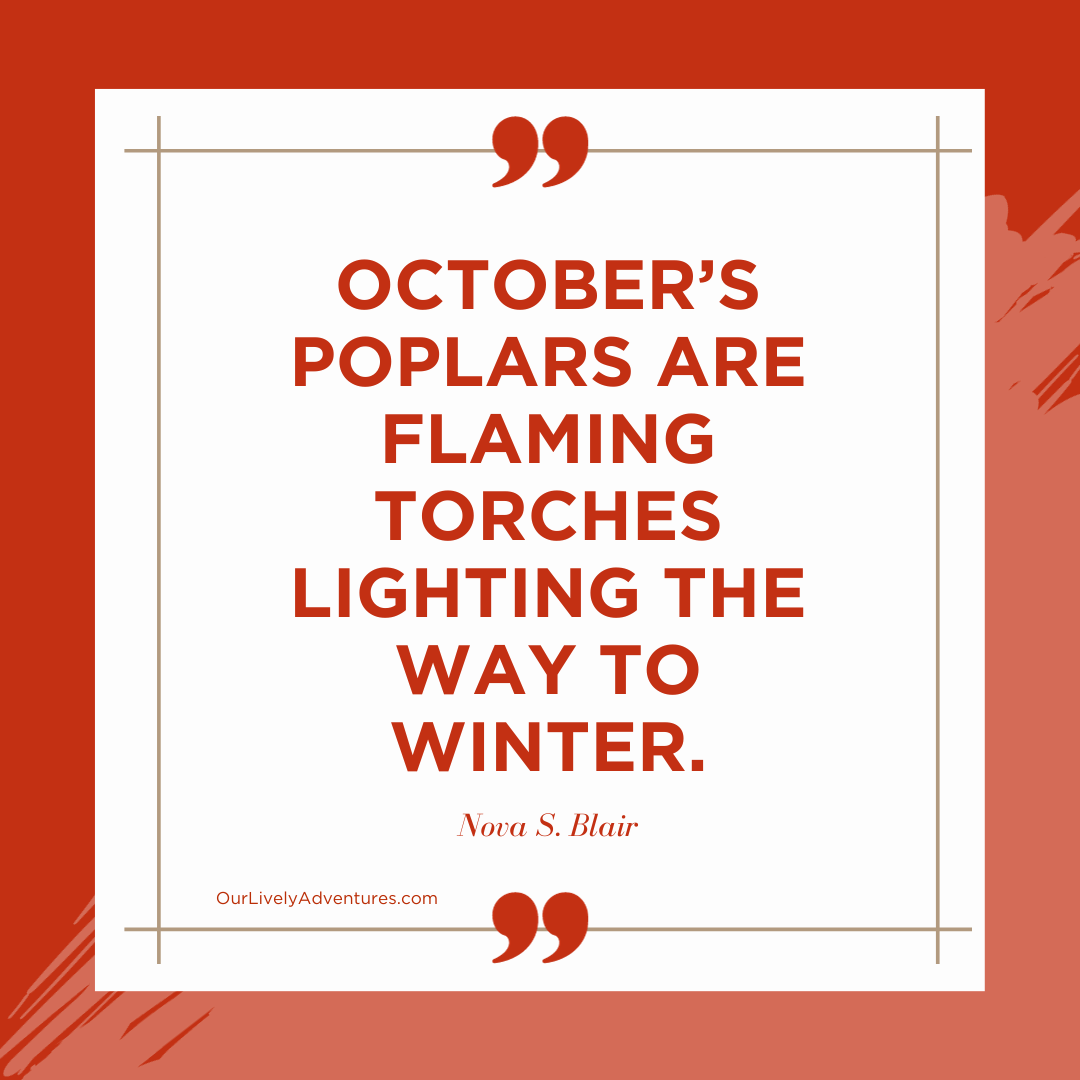 50 Beautiful Quotes About Fall - Our Lively Adventures